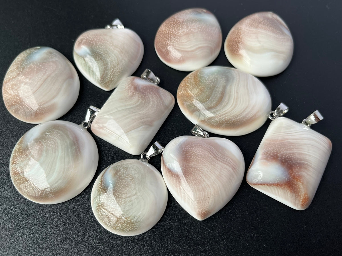 1PC 30~40mm Sun shell fossil rectangle pendant, solar spiral shell ...